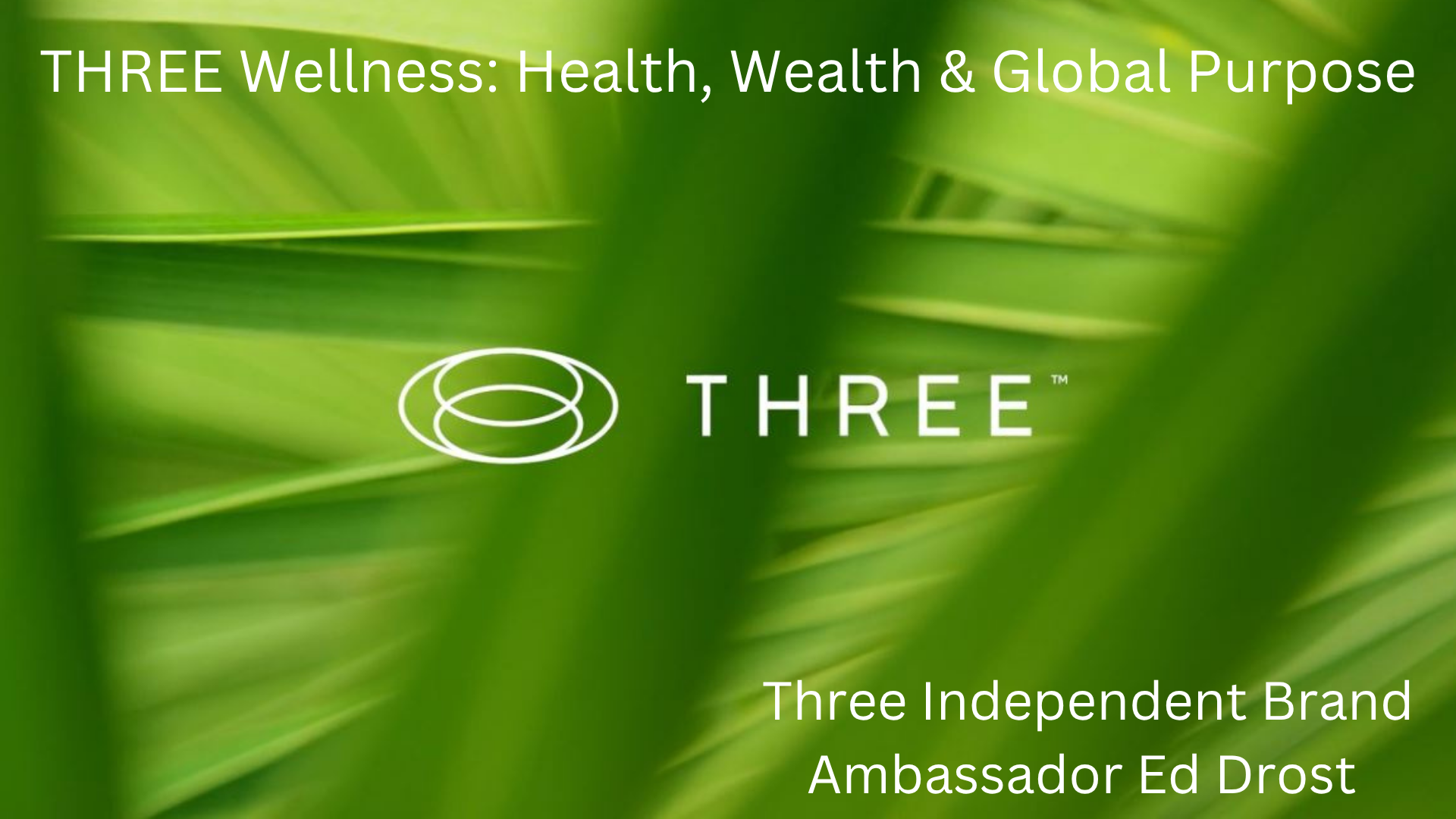 What is Three International?
